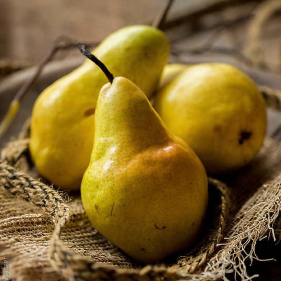 Pears – The Veggie Brothers